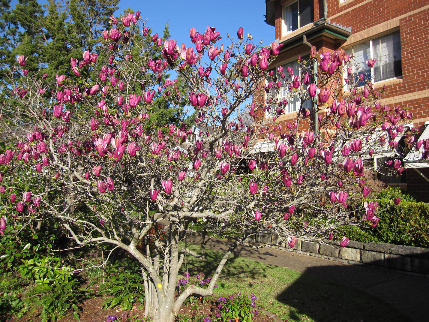 The Manors of Mosman Retirement Village, Mosman, NSW | Aveo