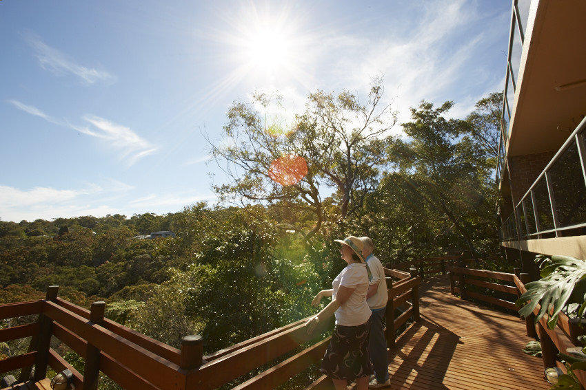 Lindfield Gardens Retirement Living, East Lindfield, NSW | Aveo